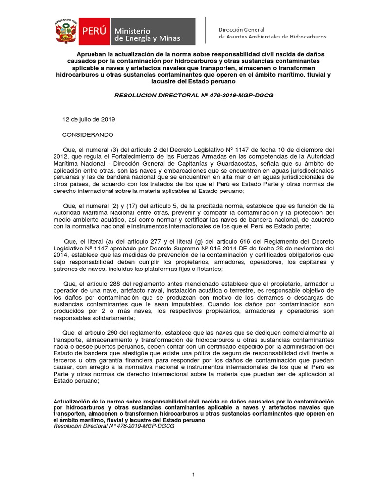 Resolución Directoral #478-2019-MGP-DGCG | PDF