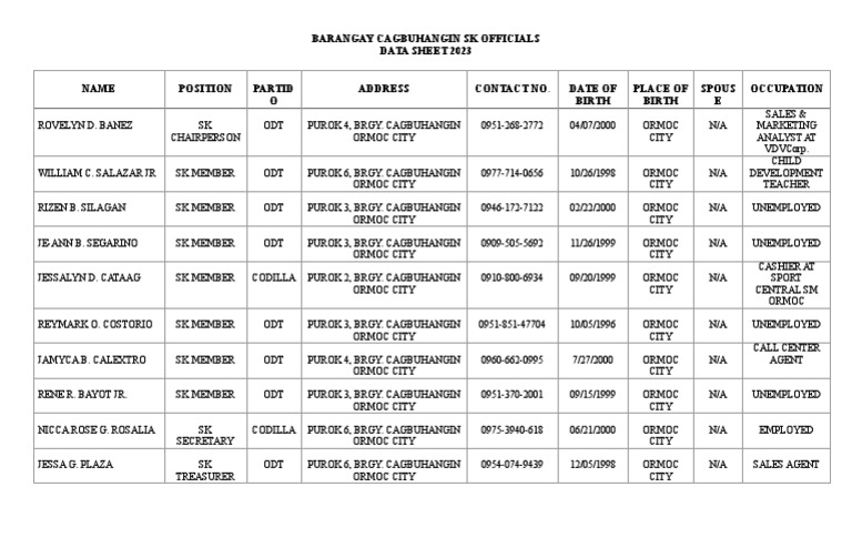 Barangay Cagbuhangin SK Officials 2023 | PDF