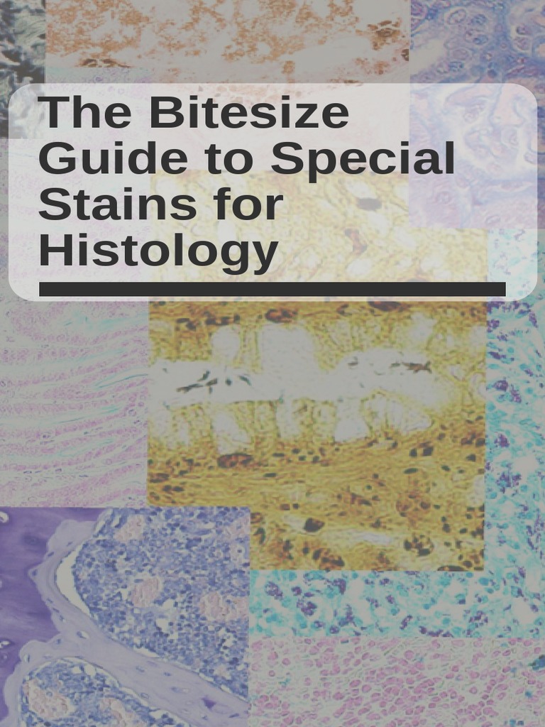 Guide To Special Stains For Histology Bitesize Bio | PDF | Staining ...