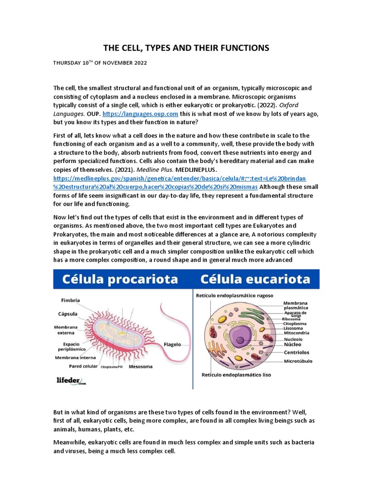 THE CELL Essay | PDF