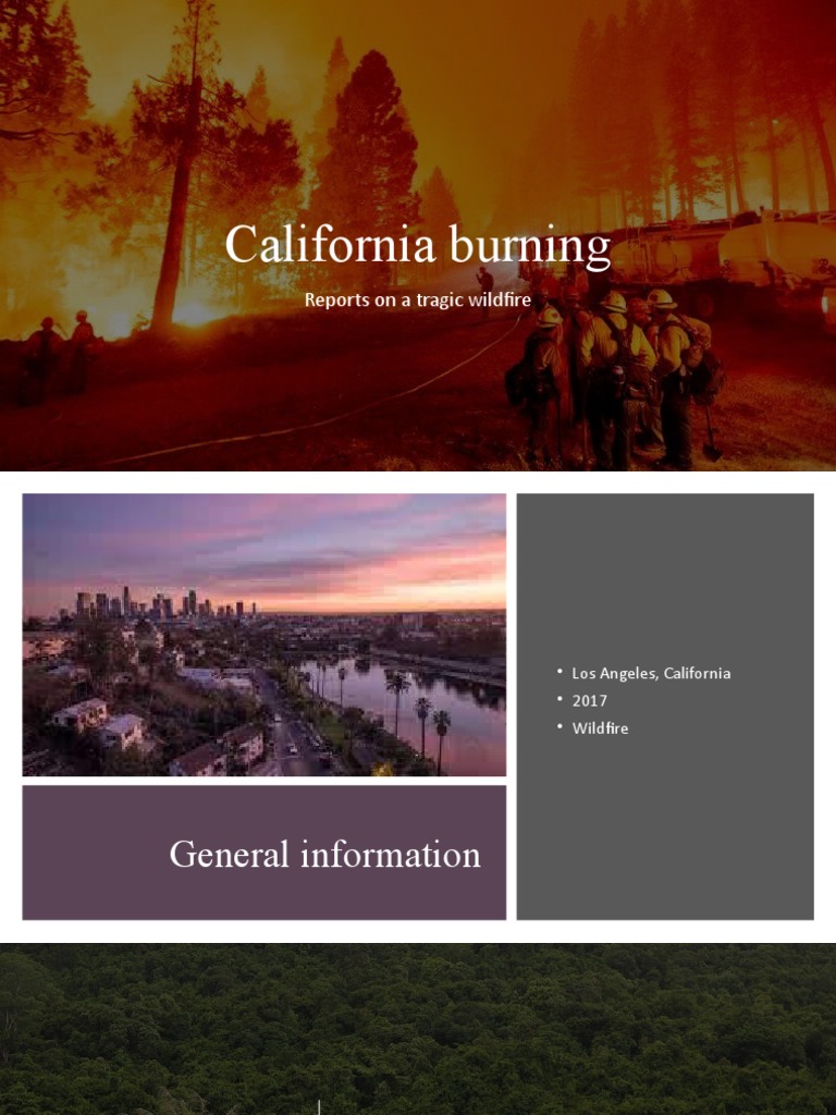 California Burning | PDF