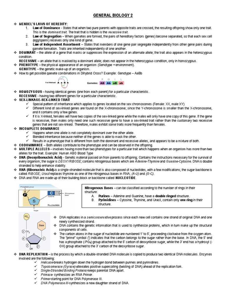 General Biology 2 Handout | PDF | Dna | Dominance (Genetics)