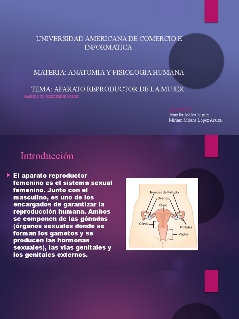 Aparato Reproductor Femenino | PDF | Vagina | Sistema reproductivo