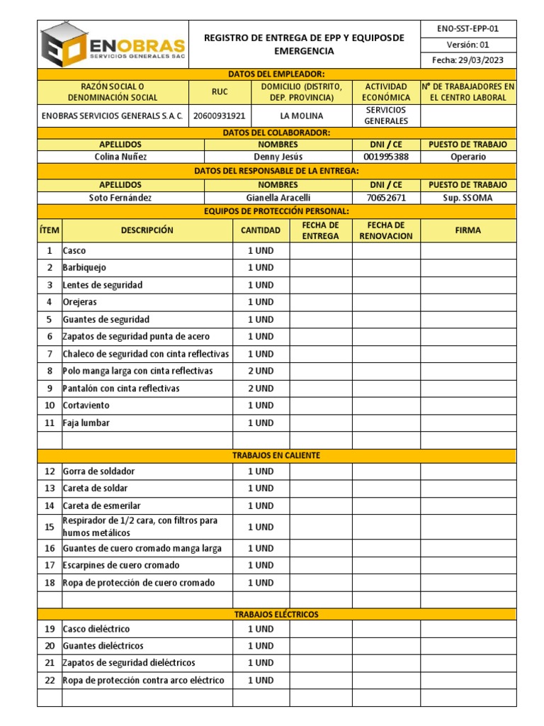 FORMATO DE ENTREGA DE EPP | PDF