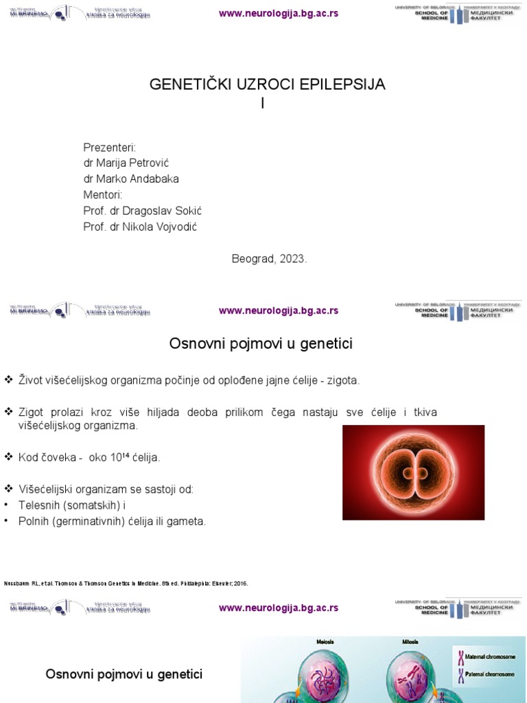 Genetski Uzroci Epilepsija | PDF