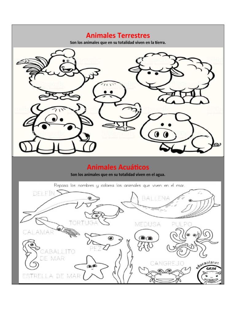 Clasificando animales según su hábitat: Terrestres vs. Acuáticos | PDF