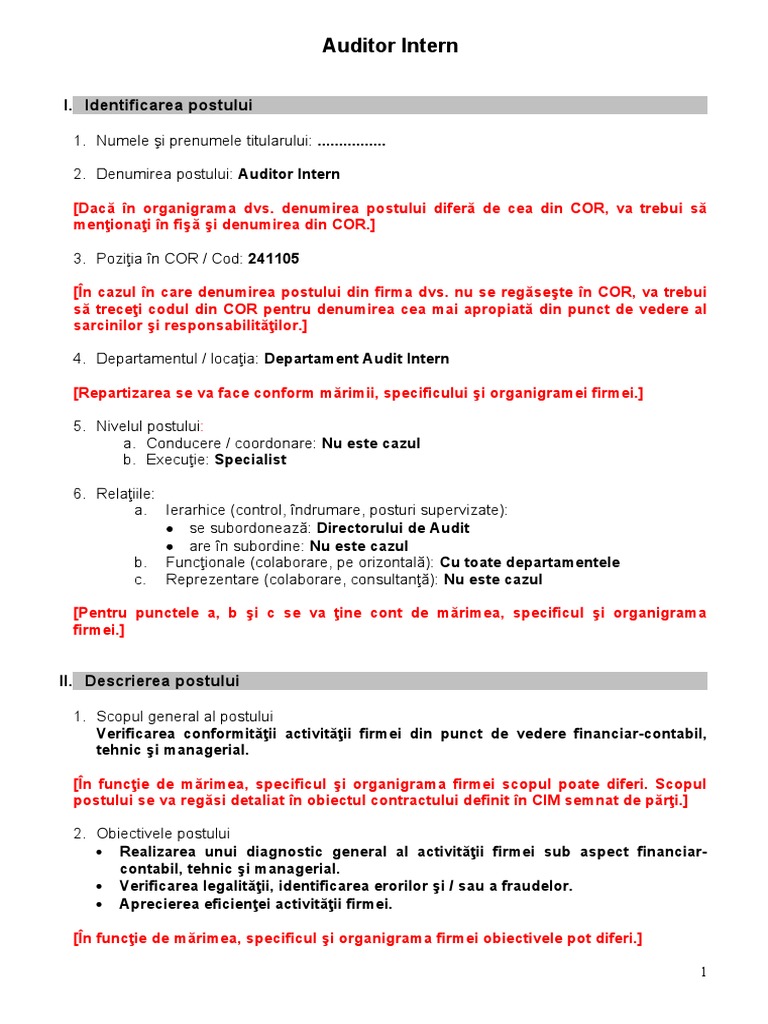 Auditor Intern | PDF