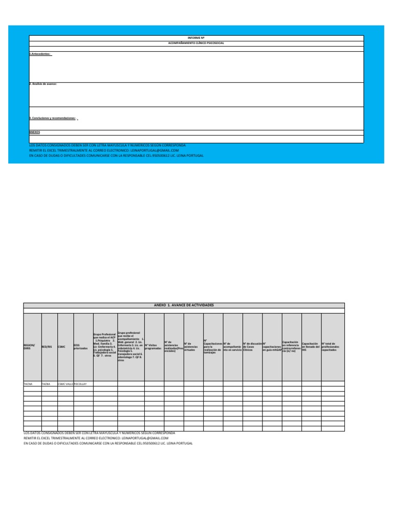 Modelo de Informe de ACP 1 | PDF | Conceptos psicologicos | Programas sociales