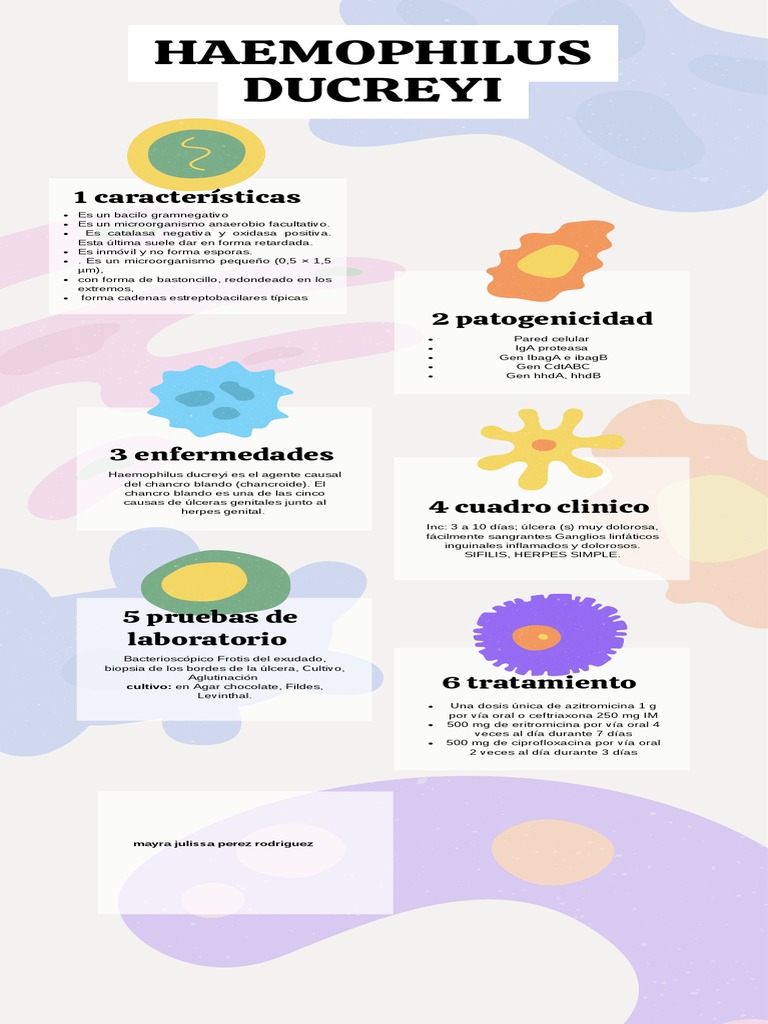 Haemophilus Ducreyi: 1 Características | PDF | Especialidades Medicas ...