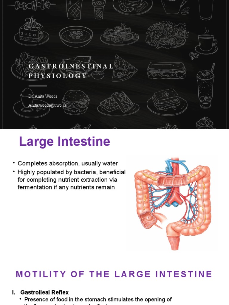 Phys 1021 Gi Lecture 3 Pdf