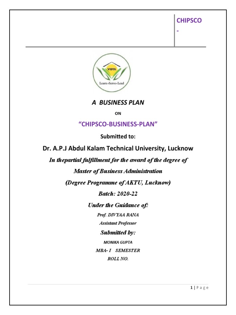 ChipsCo Business Plan | PDF | Nutrition | Diet & Nutrition
