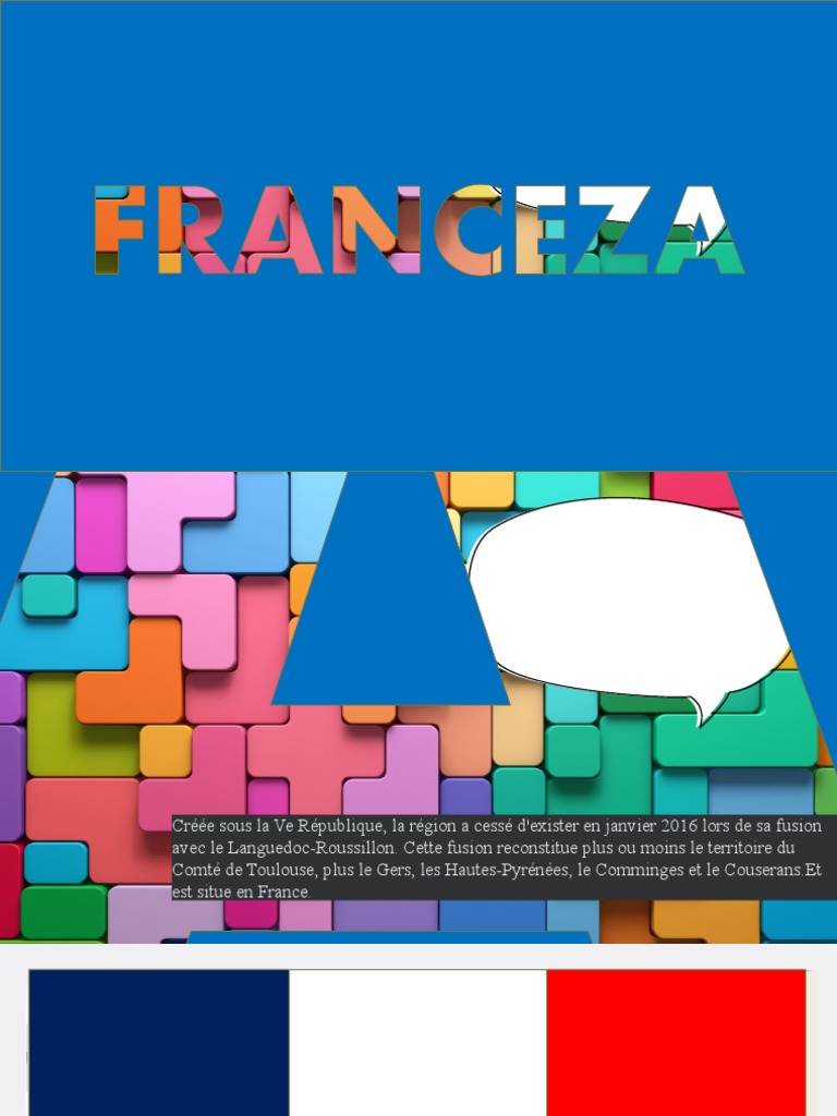 Proiect Pentru Franceza | PDF