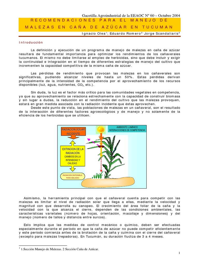 Gacet Malezas-60 | PDF | Herbicida | Botánica