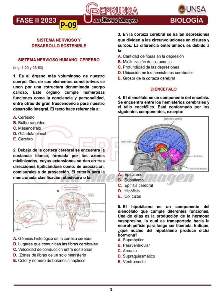 P - 09 Biología Ceprunsa 2da Fase | PDF