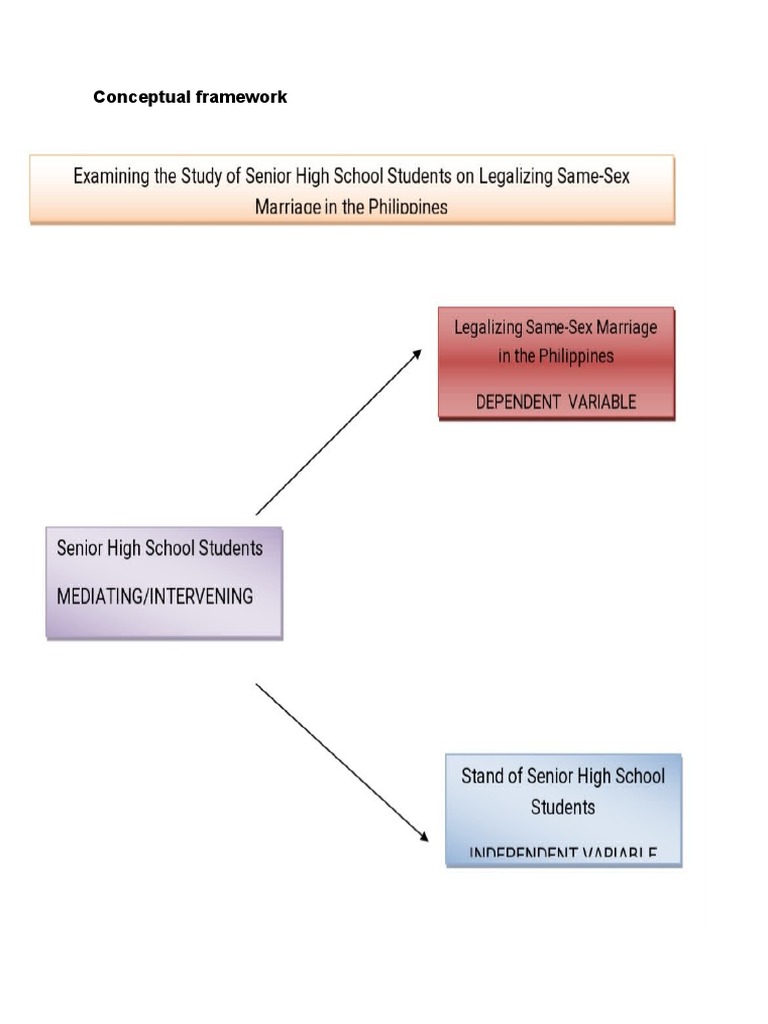 Conceptual Framework | PDF