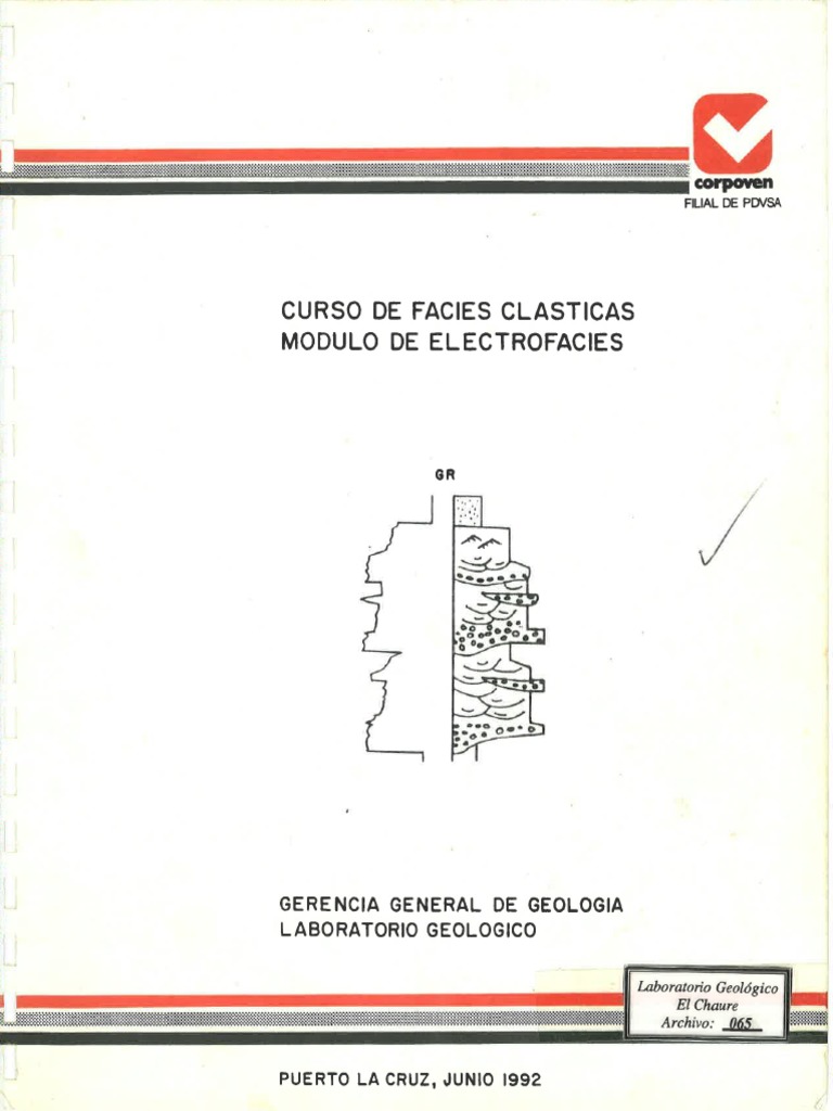 Curso de Facies Clasticos Modulo de Electrofacies | PDF