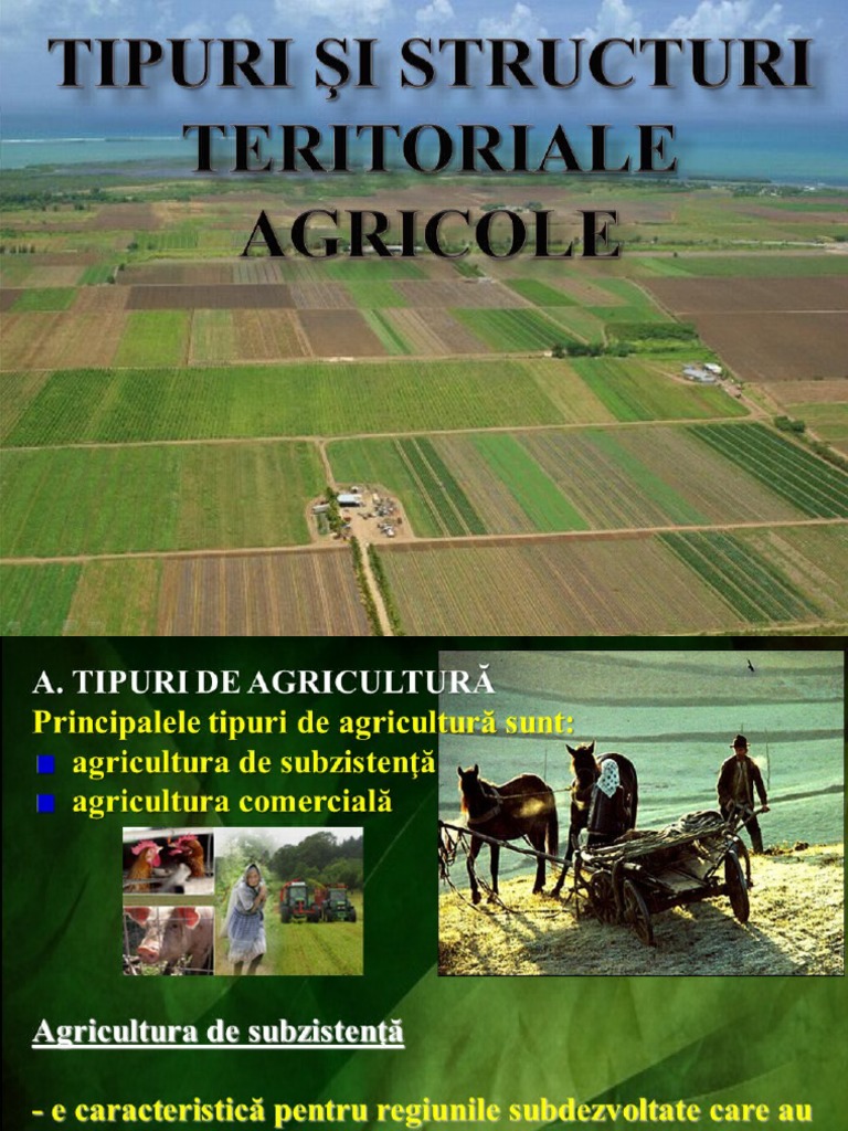 Agricultura. Tipuri Si Structuri Teritorial Agricole | PDF