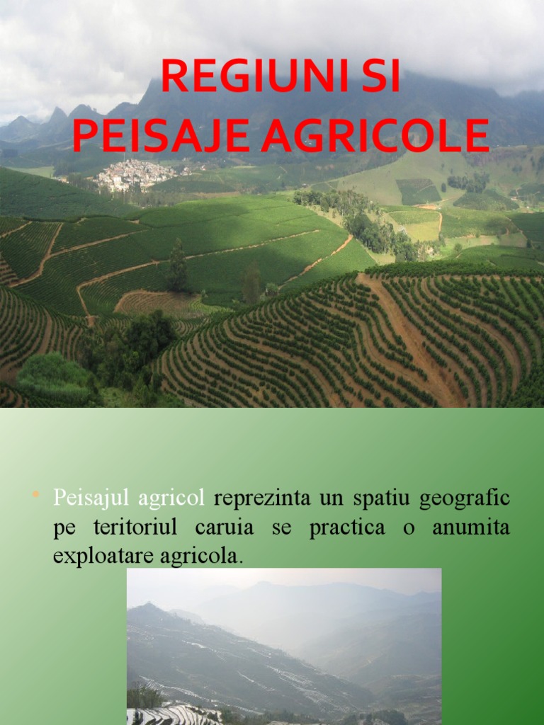 Regiuni Si Peisaje Agricole | PDF
