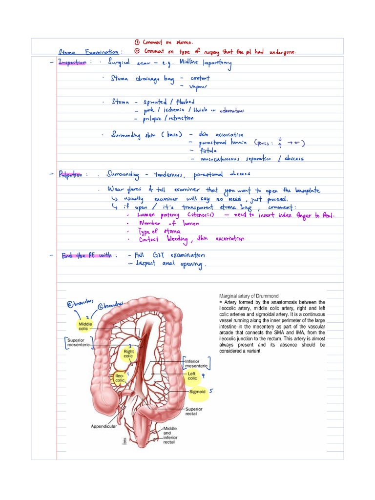 Short Case - Stoma Examination | PDF | Colorectal Cancer | Surgical ...