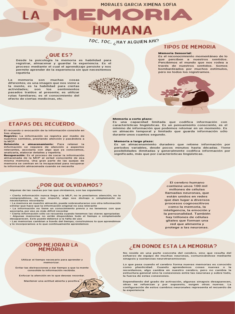 Infografia Memoria | PDF | Memoria | Aprendizaje
