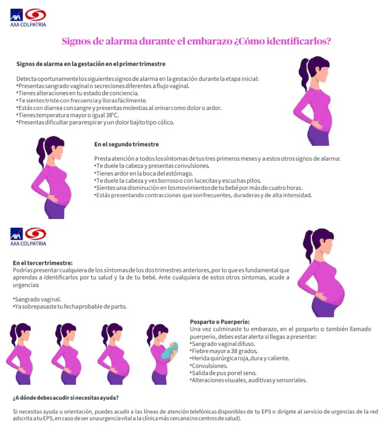 Signos de Alarma en El Embarazo | PDF