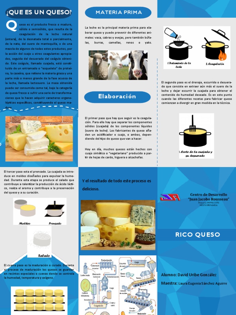 Queso | PDF | Queso | Leche