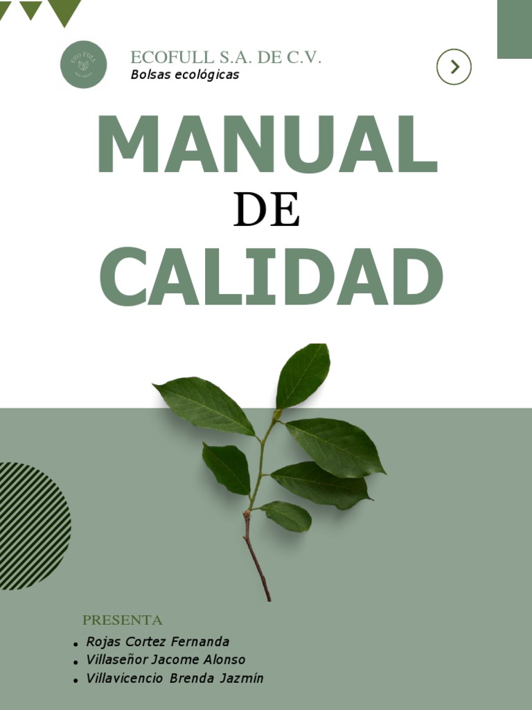 Manual de Calidad | PDF | Calidad (comercial) | Economias
