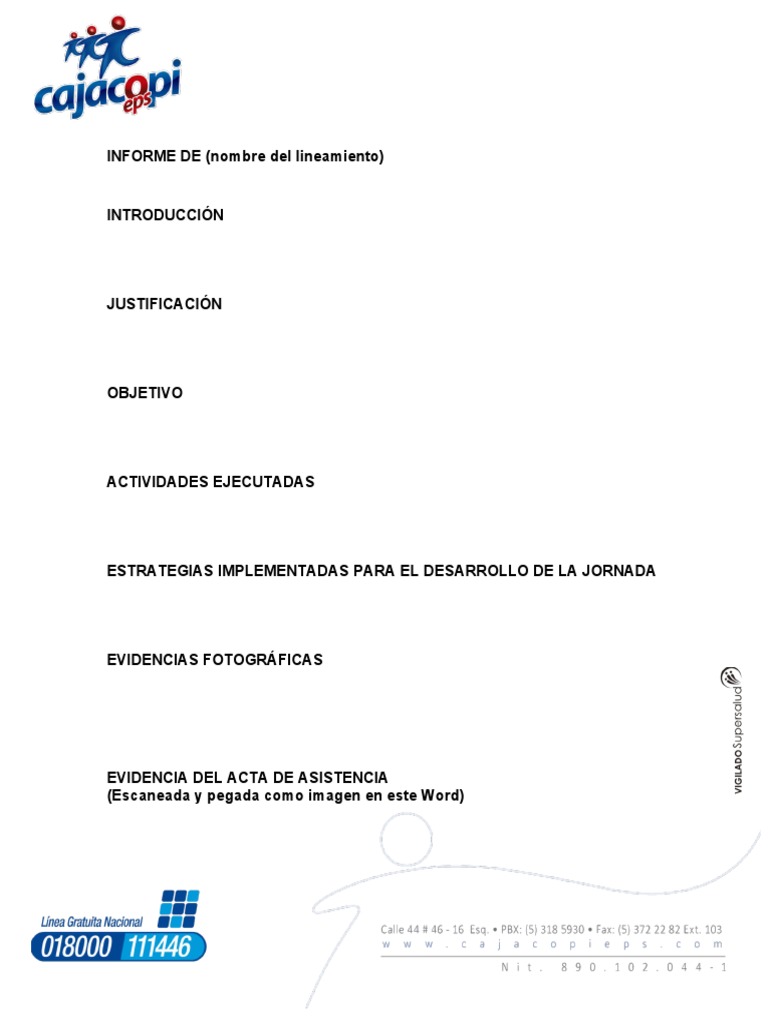 Modelo Informe de Lineamientos | PDF