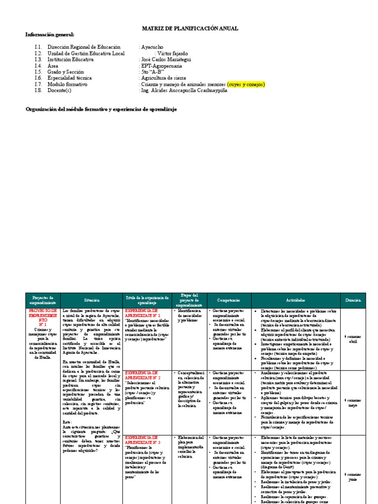 Matriz de Planificacion Anual Cuyes Conejo | PDF | Arte