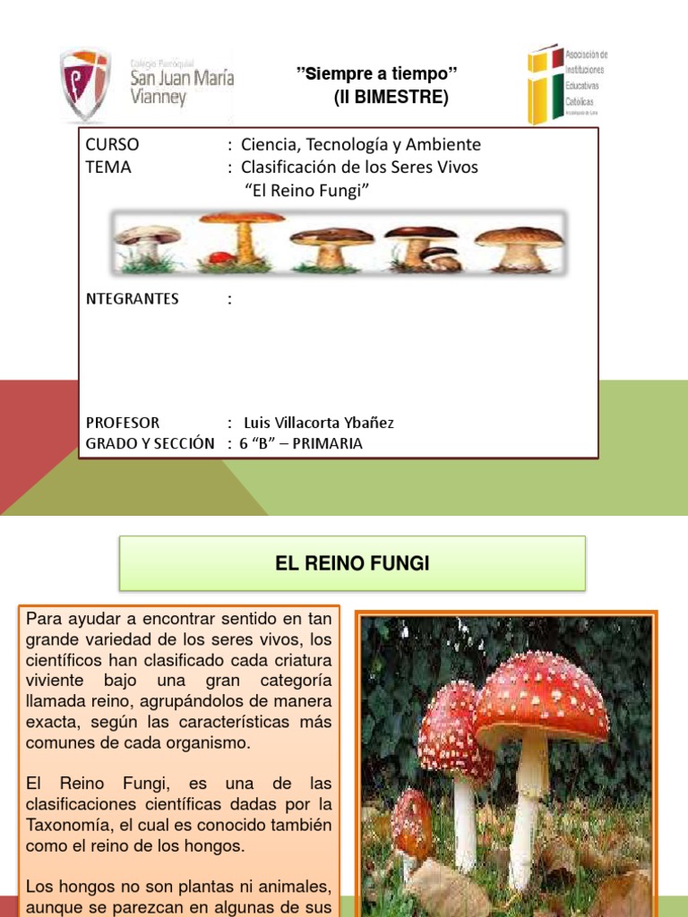 El Reino Fungi | PDF | Hongo | Polisacárido