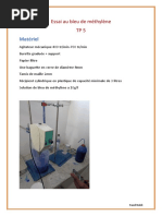 Essai VBS au bleu de méthylène | PDF | Matériaux