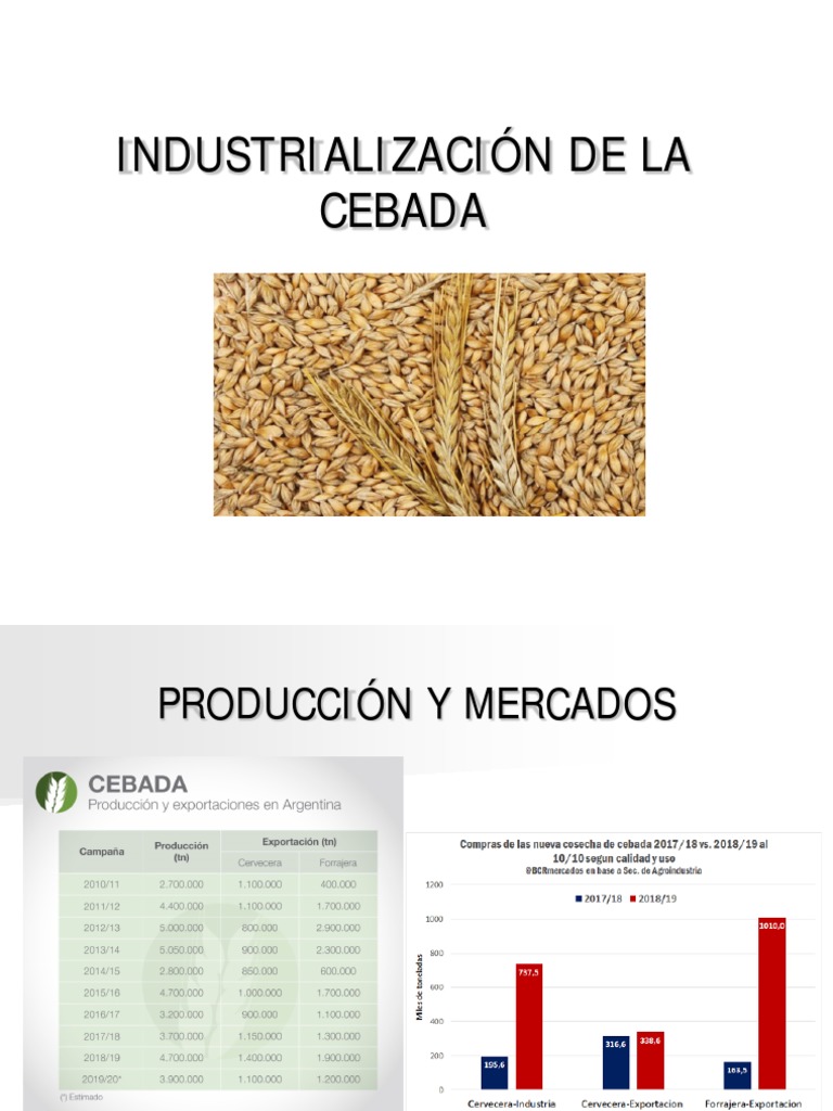 Industrialización Cebada | PDF | Cerveza | Fermentación