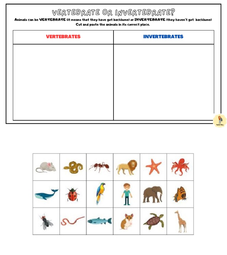 Vertebrates and Invertebrates | PDF