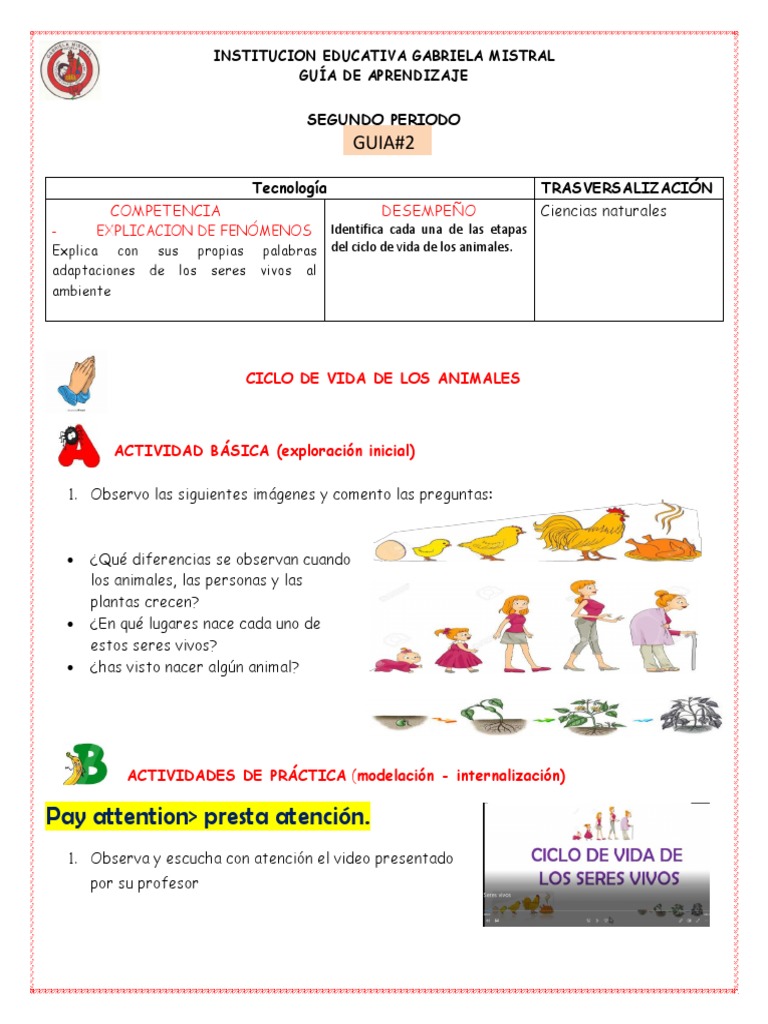 Actividades del Ciclo de Vida Animal | PDF | Pollo
