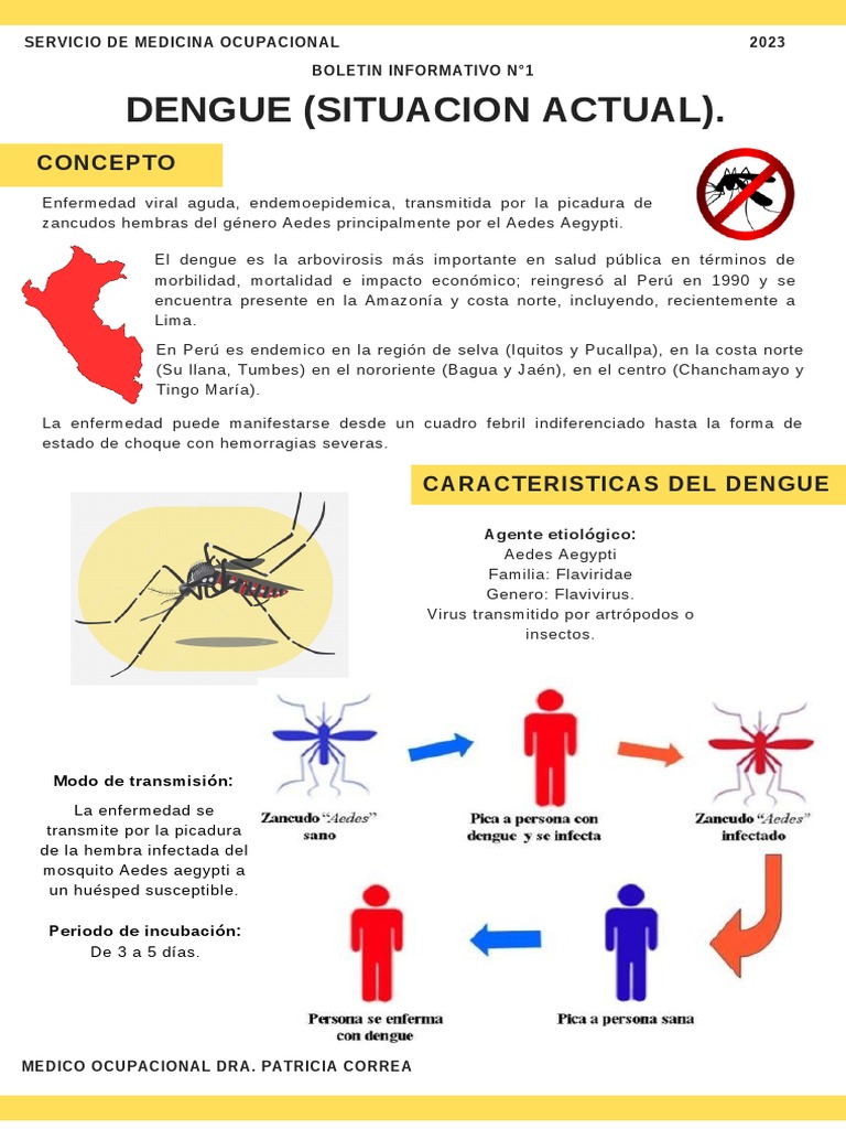 Boletin Informativo N°1 Dengue (Situación Actual Perú) . | PDF Boletin Informativo N°1 Dengue (Situación Actual Perú) . | PDF