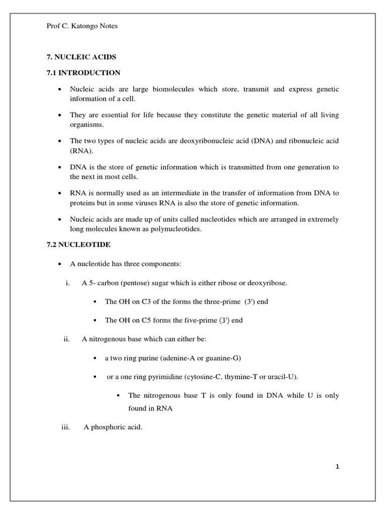 BIO 1400 Topic 7 Nucleic Acids - 2023 | PDF