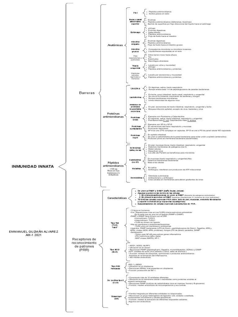 INMUNOLOGIA 5 Inmunidad Innata Cuadro Sinoptico | PDF