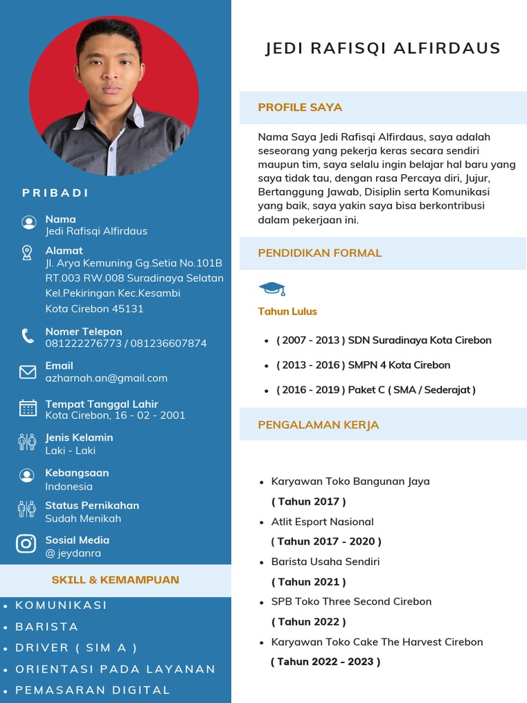 Blue Light Blue Color Blocks Flight Attendant CV | PDF