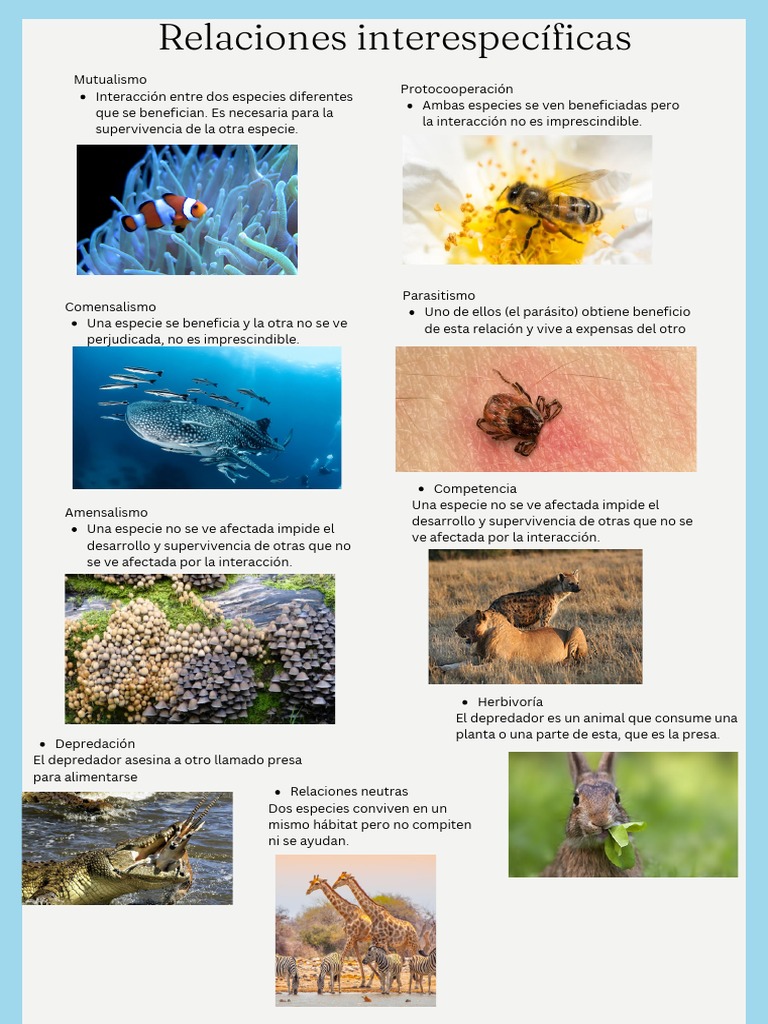 Relaciones Interespecíficas | PDF