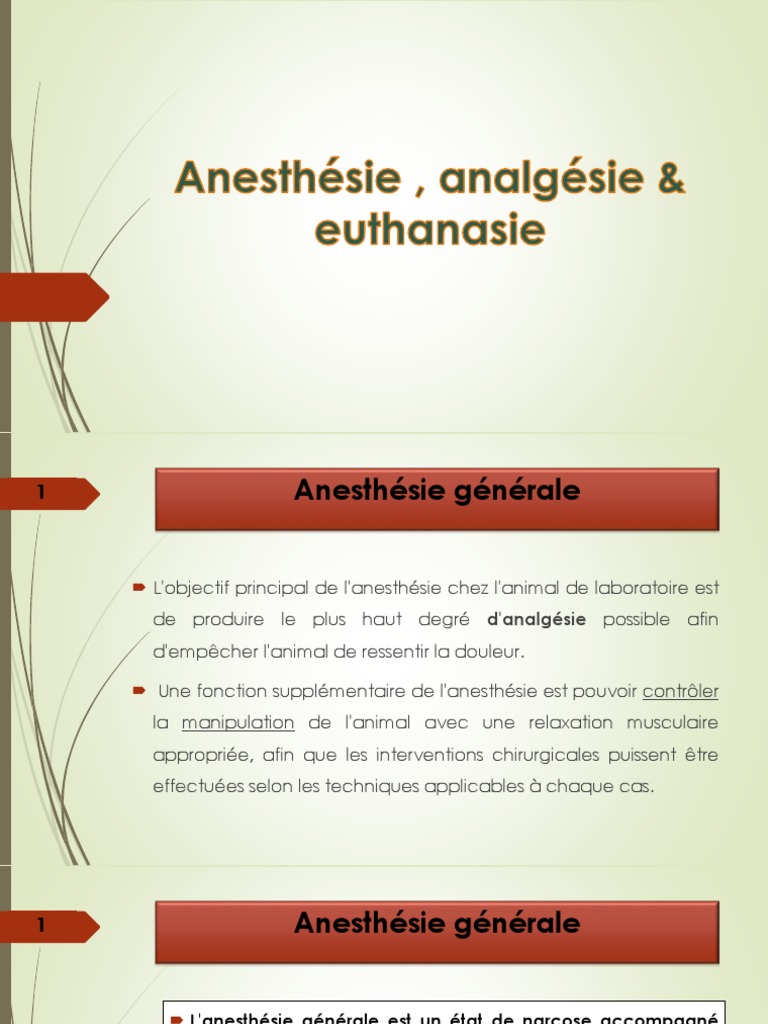 Anesthésie | PDF