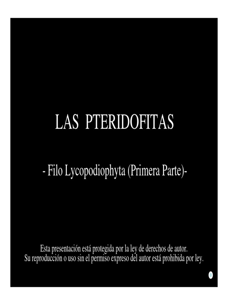 Características de Lycopodiophyta | PDF | Plantas | Botánica