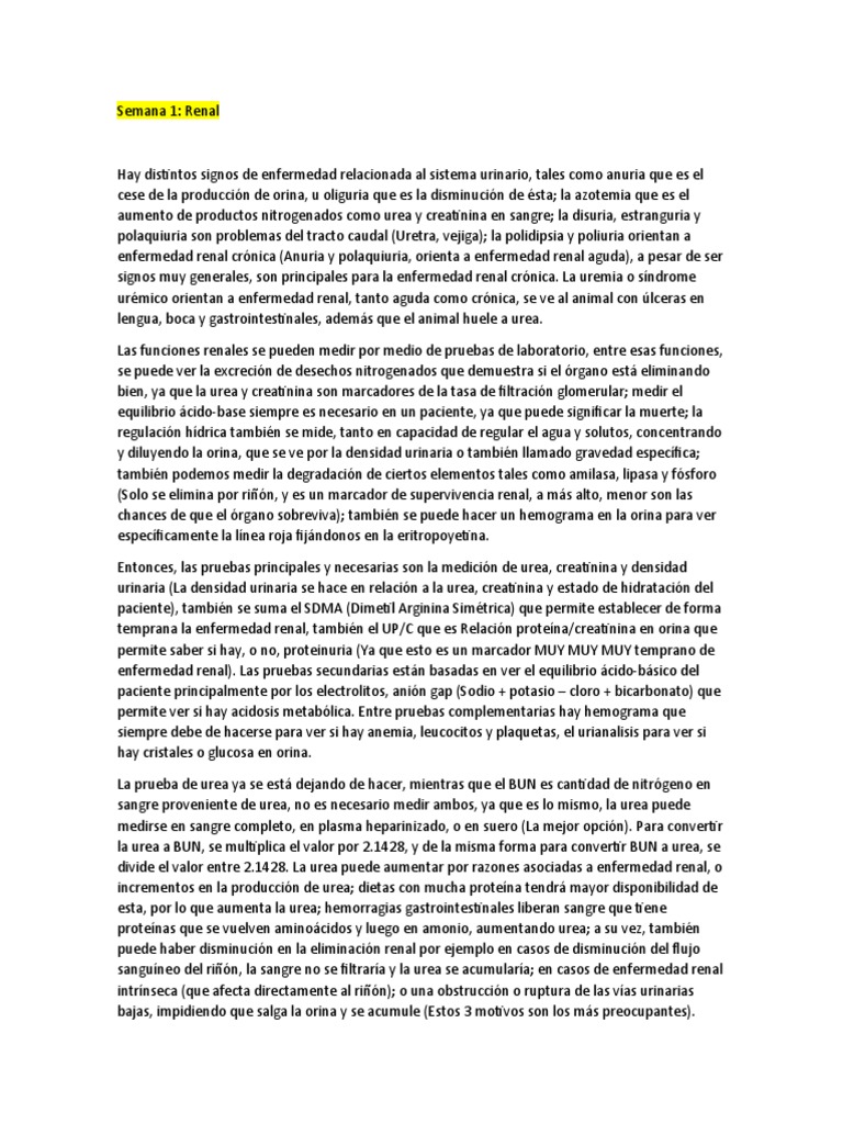 Pato Clínica Unidad 3 | PDF | Riñón | Medicina CLINICA