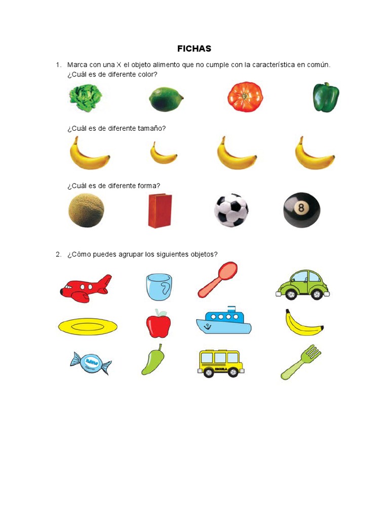 Agrupamos y Clasificamos | PDF