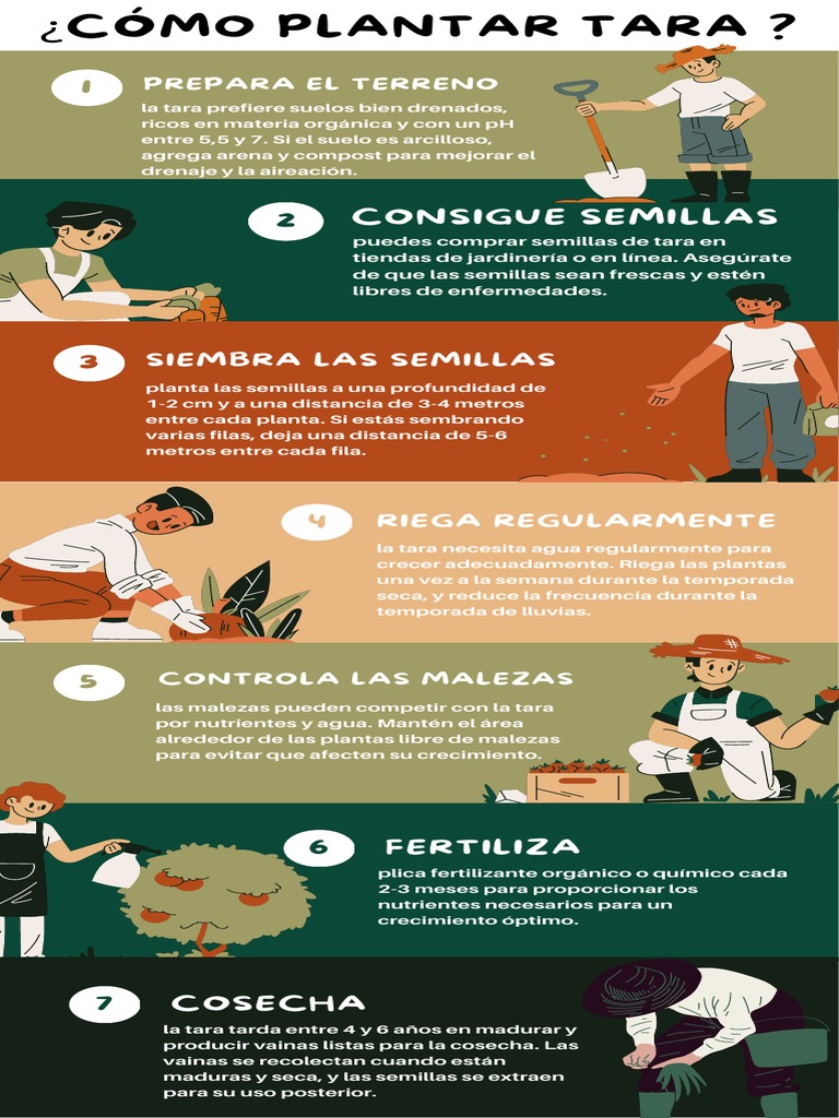 ¿Cómo Plantar Tara? | PDF