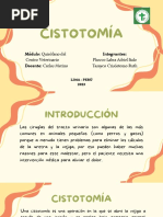 Cistocentesis | PDF | Vejiga urinaria | Ciencias de la Salud