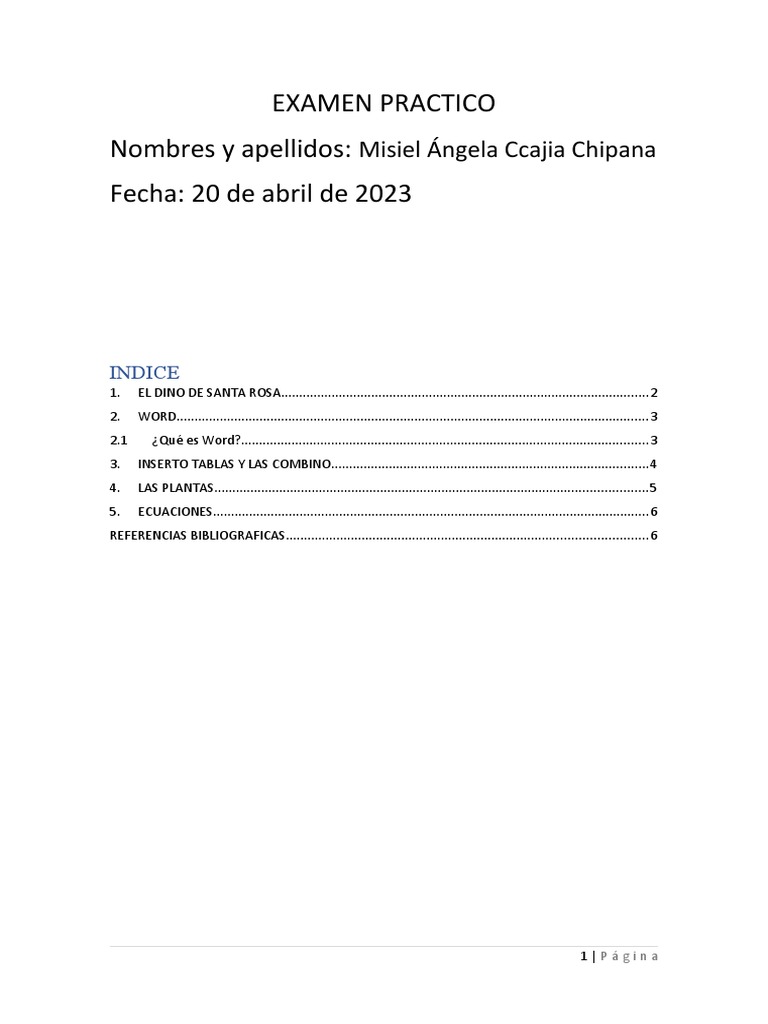 Examen Practico | PDF