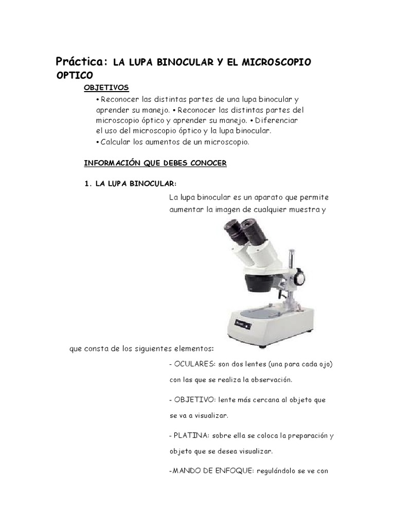Práctica Microscopio | PDF | Lente de la cámara | Óptica