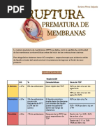 Ensayo Sulfato de Magnesio-Esquema Zuspan | PDF | Astrocito | Inflamación