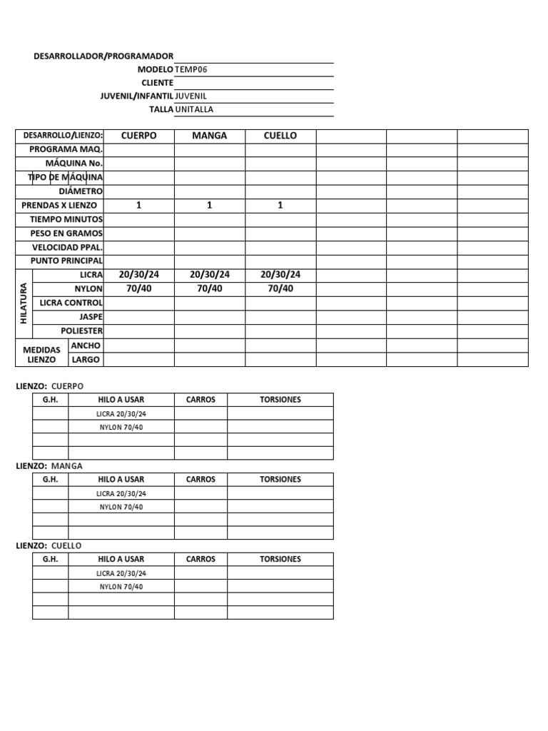Formato Para Programador Pdf