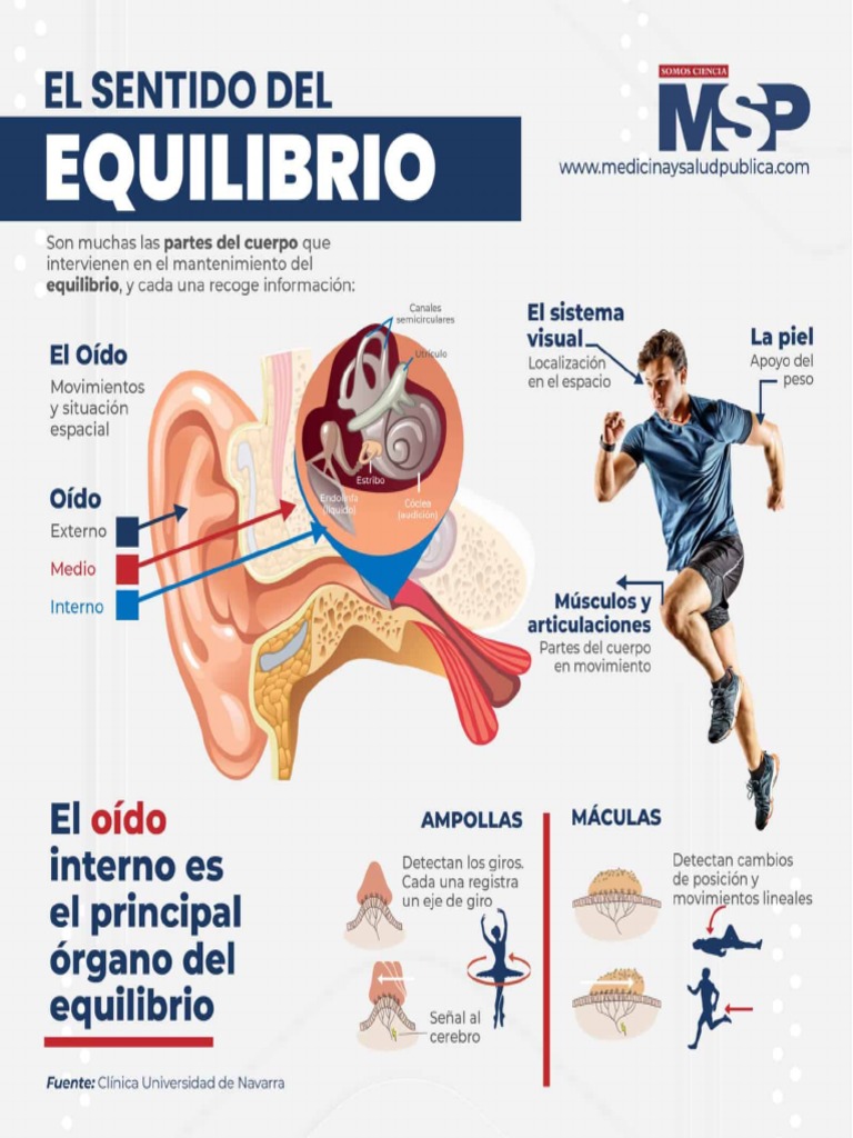 El Sentido Del Equilibrio | PDF El Sentido Del Equilibrio | PDF